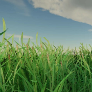 Textures Animated grass for Minecraft - Download | Addons