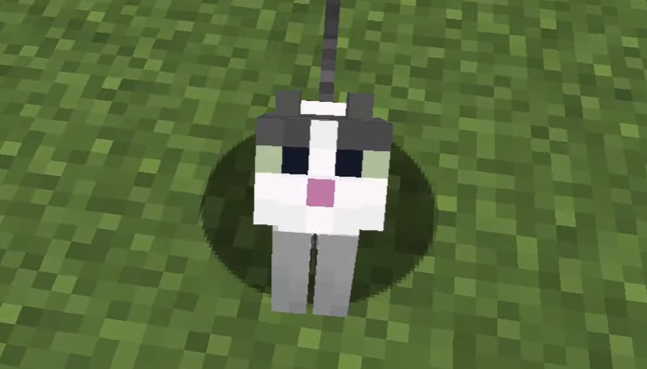 Comment apprivoiser les chats dans Minecraft en 1.20